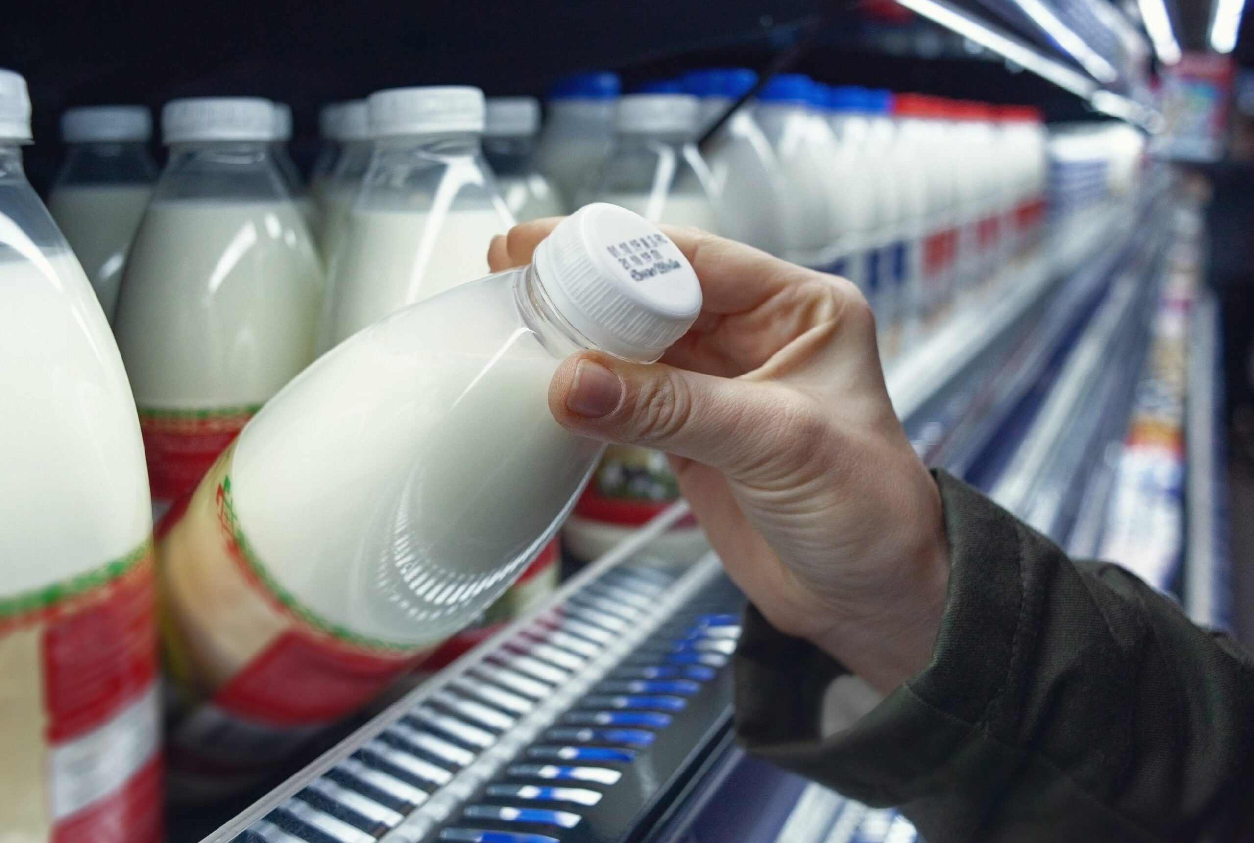 We celebrate the World Milk Day - Ceva ruminants - Global