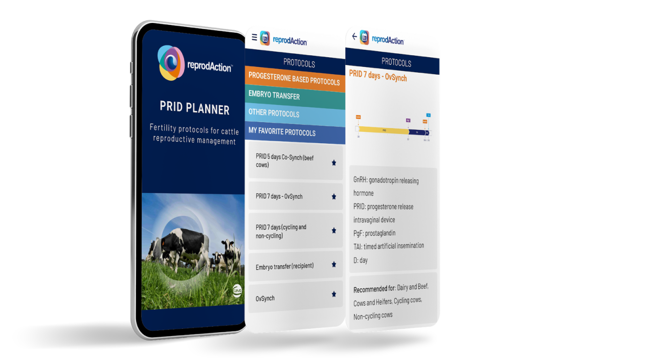Coxevac Calculator APP - Ceva ruminants - Global