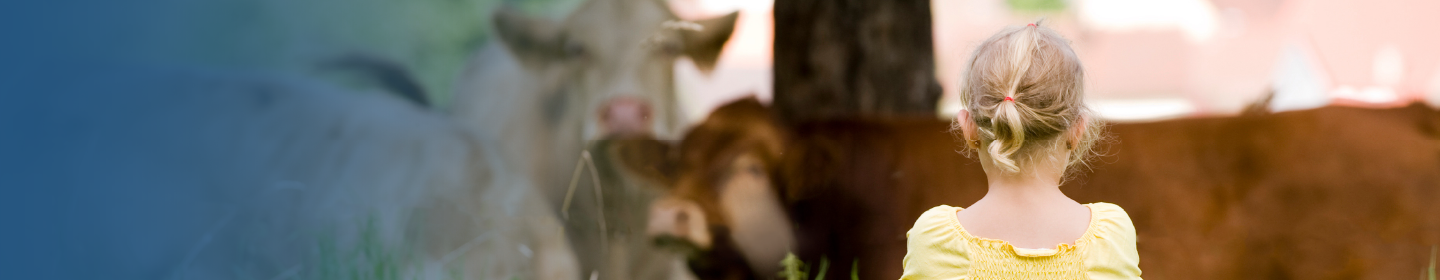 Parasiticides - Ceva ruminants - Global