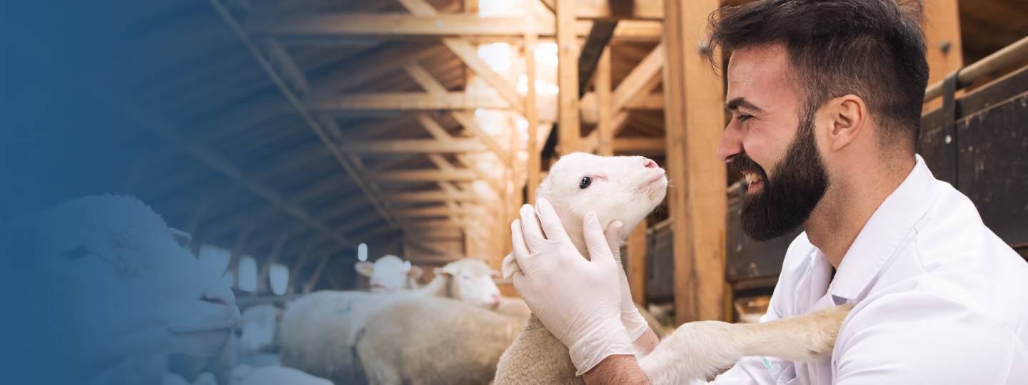 Products - Ceva ruminants - Global