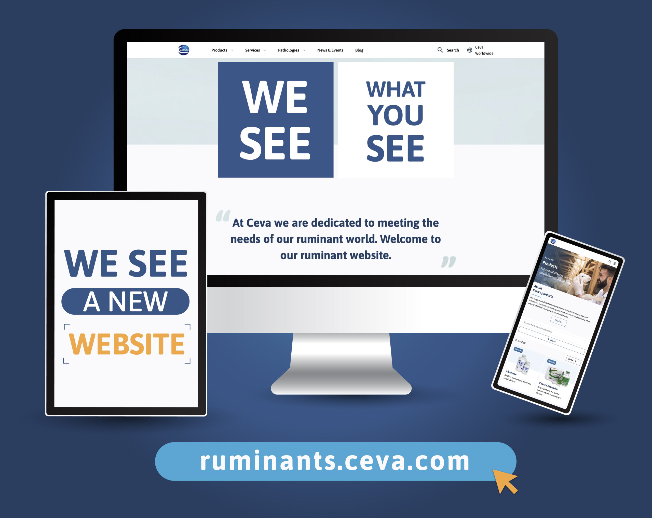 Ceva launches a new website dedicated to ruminants - Ceva ruminants ...