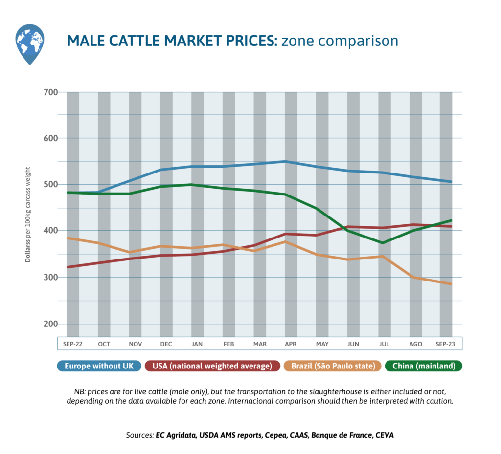 Cattle Market Outlook OCTOBER 23 - Ceva ruminants - Global