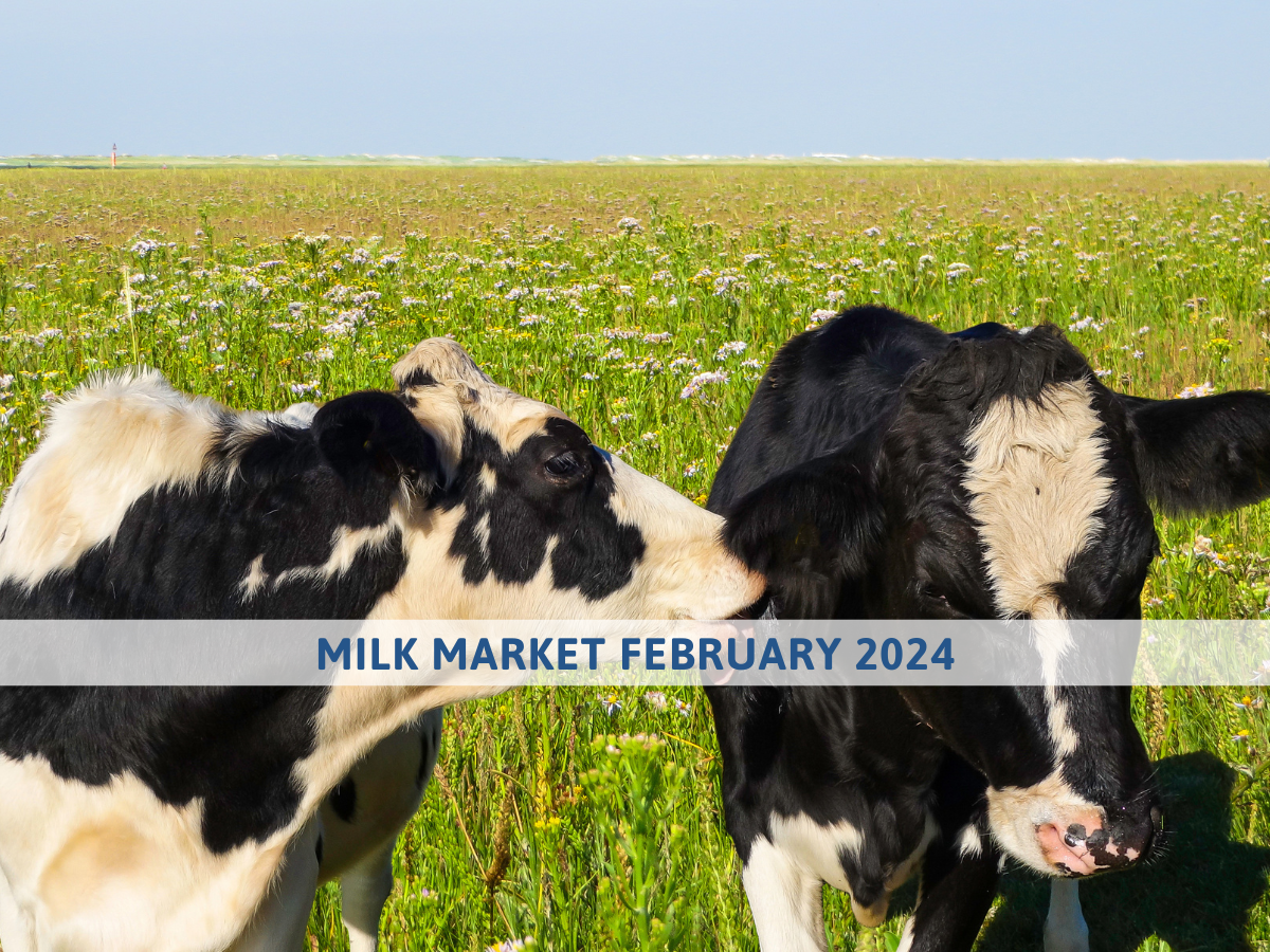 Home - Ruminants Ceva