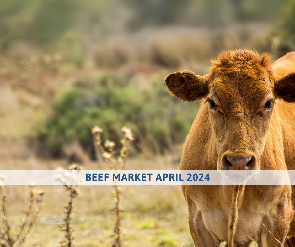 Home - Ruminants Ceva