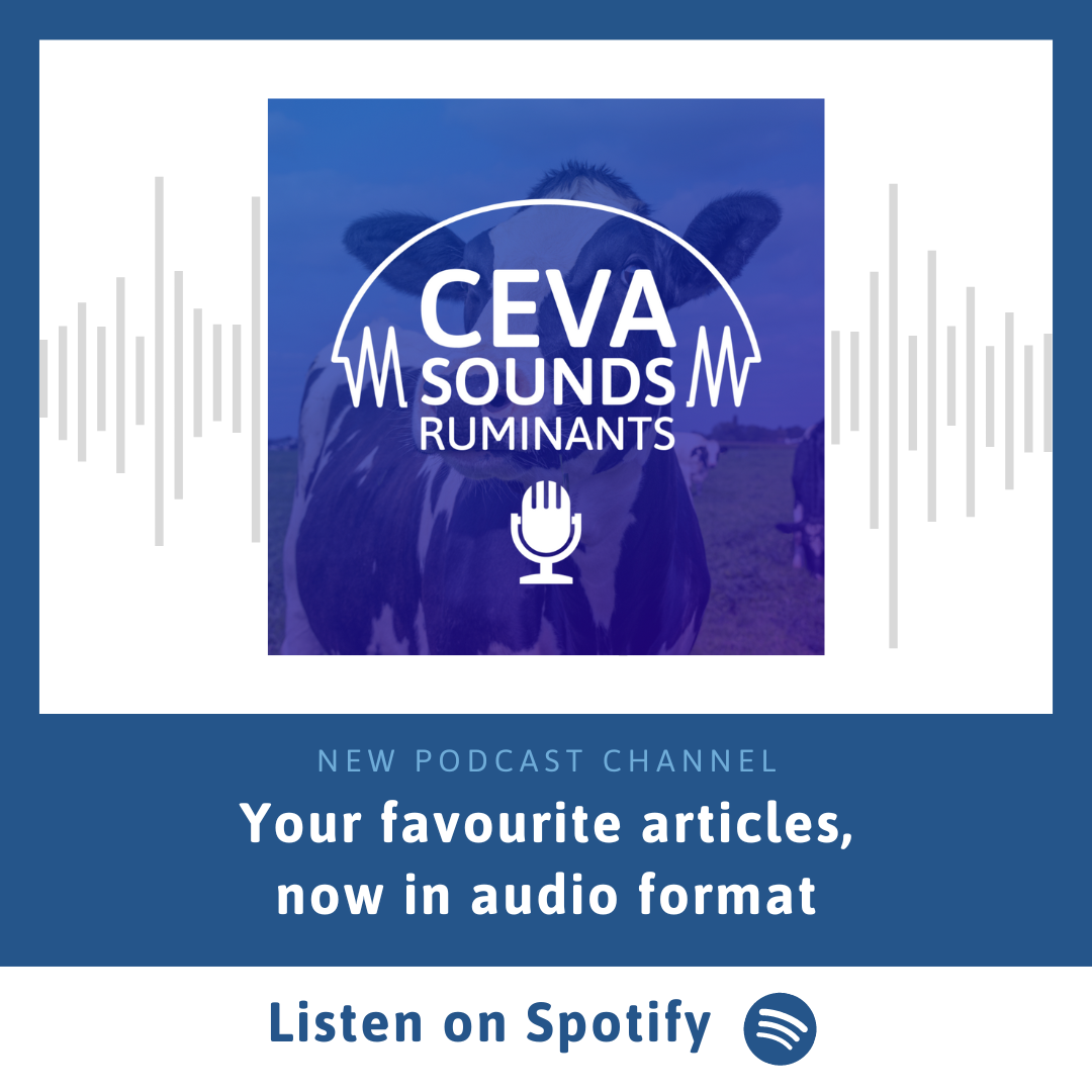 Introducing Ceva Sounds Ruminants
