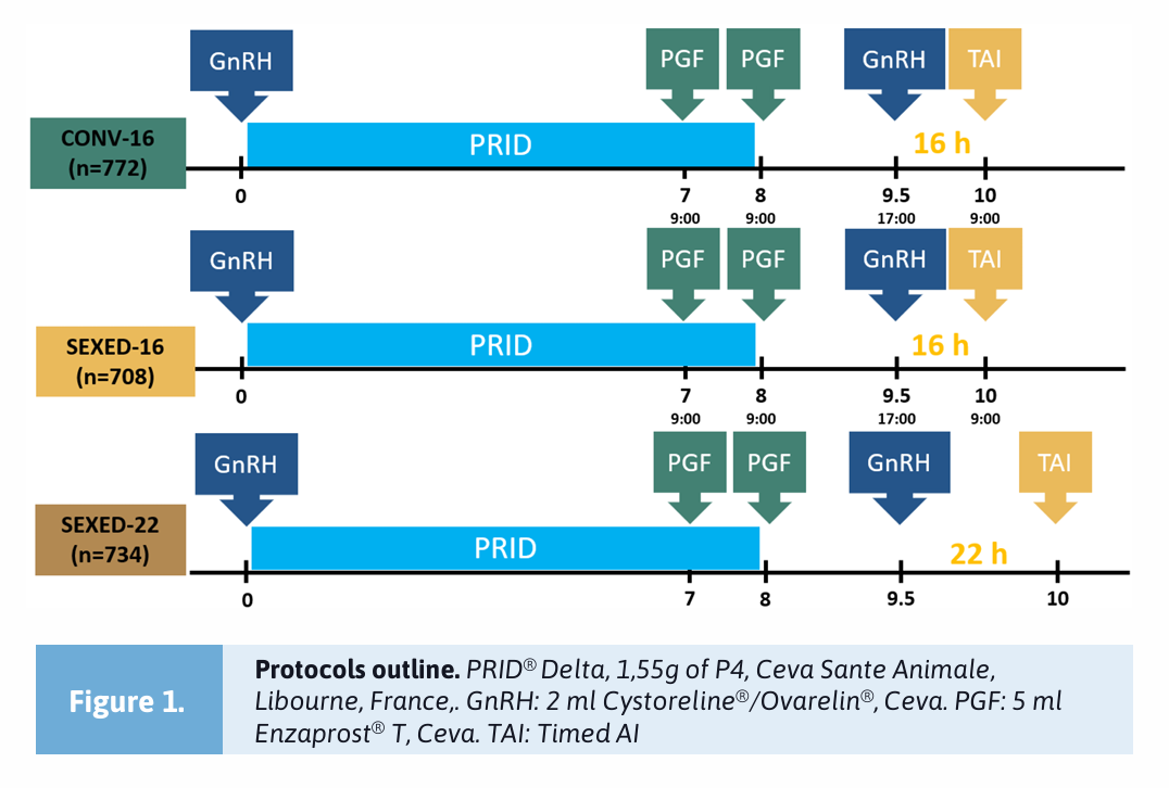 ovulation synchronization in lactating dairy cows
