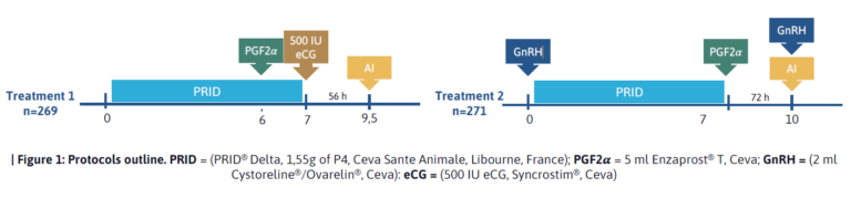 PRID Delta Synchronization for Beef Cows