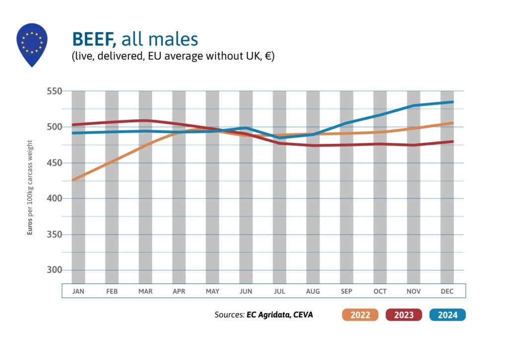 Beef Market Outlook JANUARY 2025 - Ceva ruminants - Global