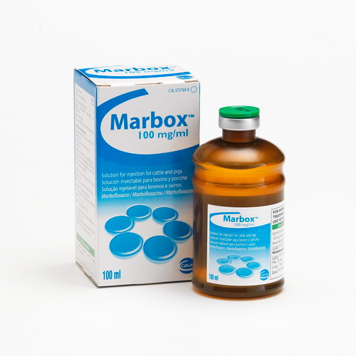 Marbox - Ceva ruminants - Spain