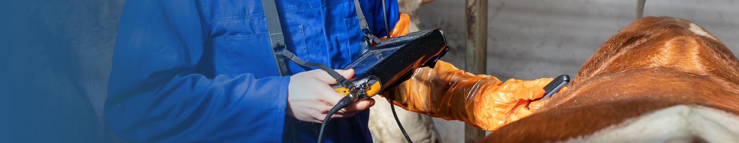 Diagnostic tools - Ceva ruminants - UK