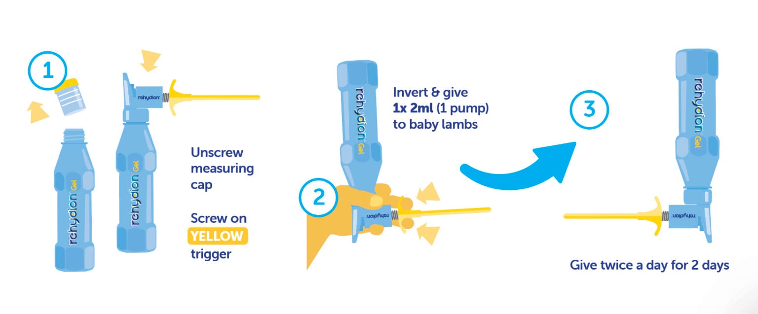 Rehydion Gel - Ceva ruminants - UK